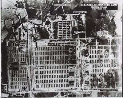 "Aerial Bombardment of Birkenau"